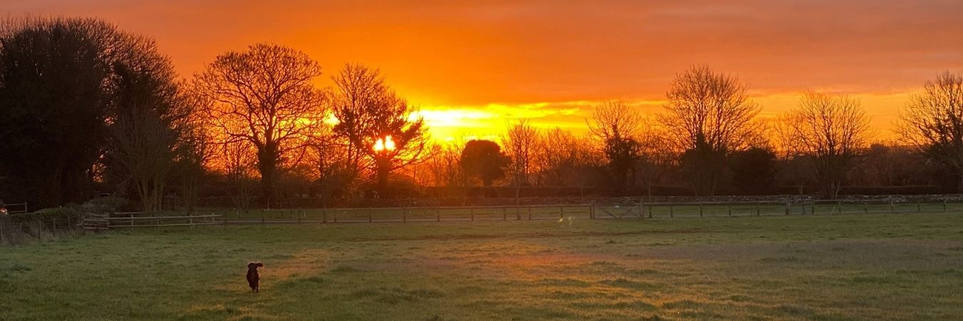 Our Story - Hartley Farm Shop and Kitchen